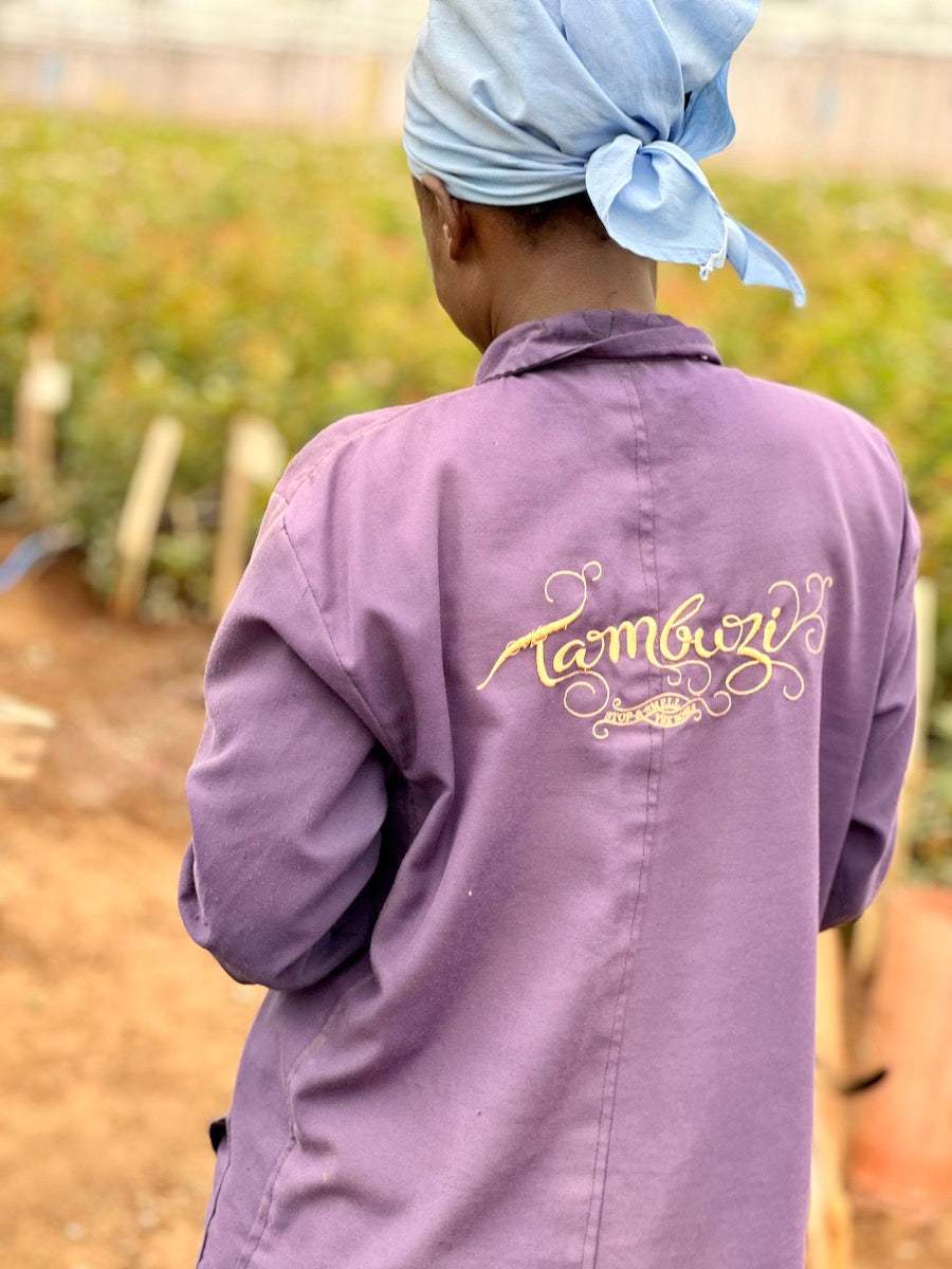 We visited Tambuzi Roses in Kenya. Here’s what we learnt. – Wildbunch ...